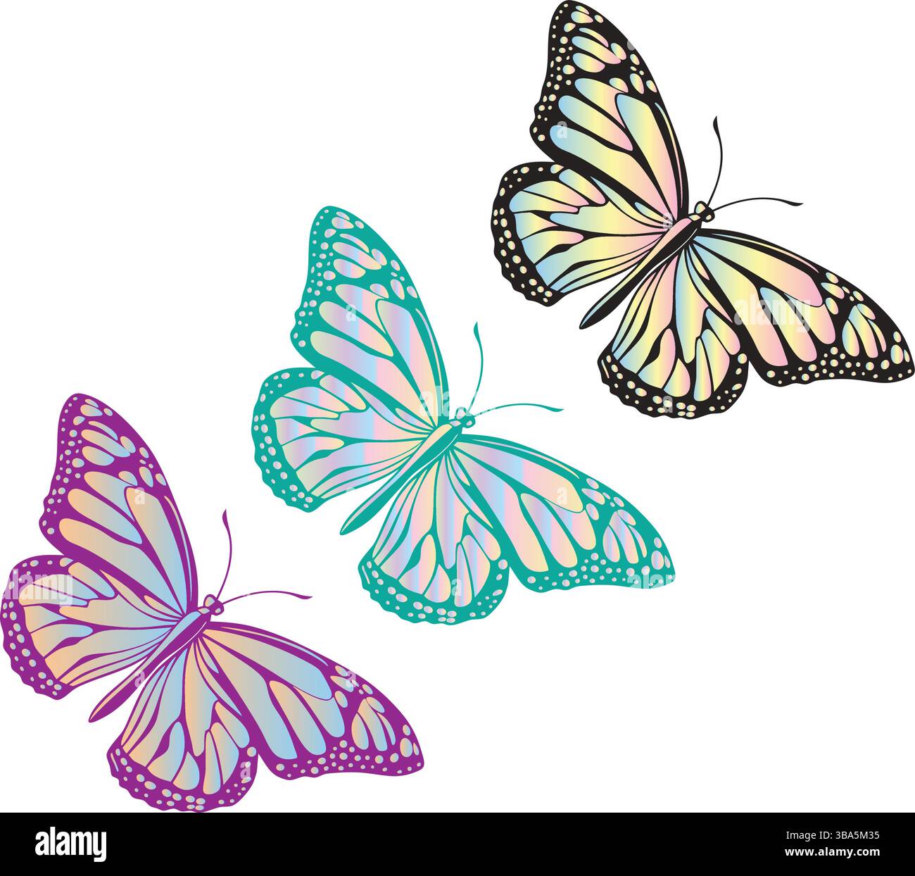 Butterfly vector transparent background. Cute three variants of ...