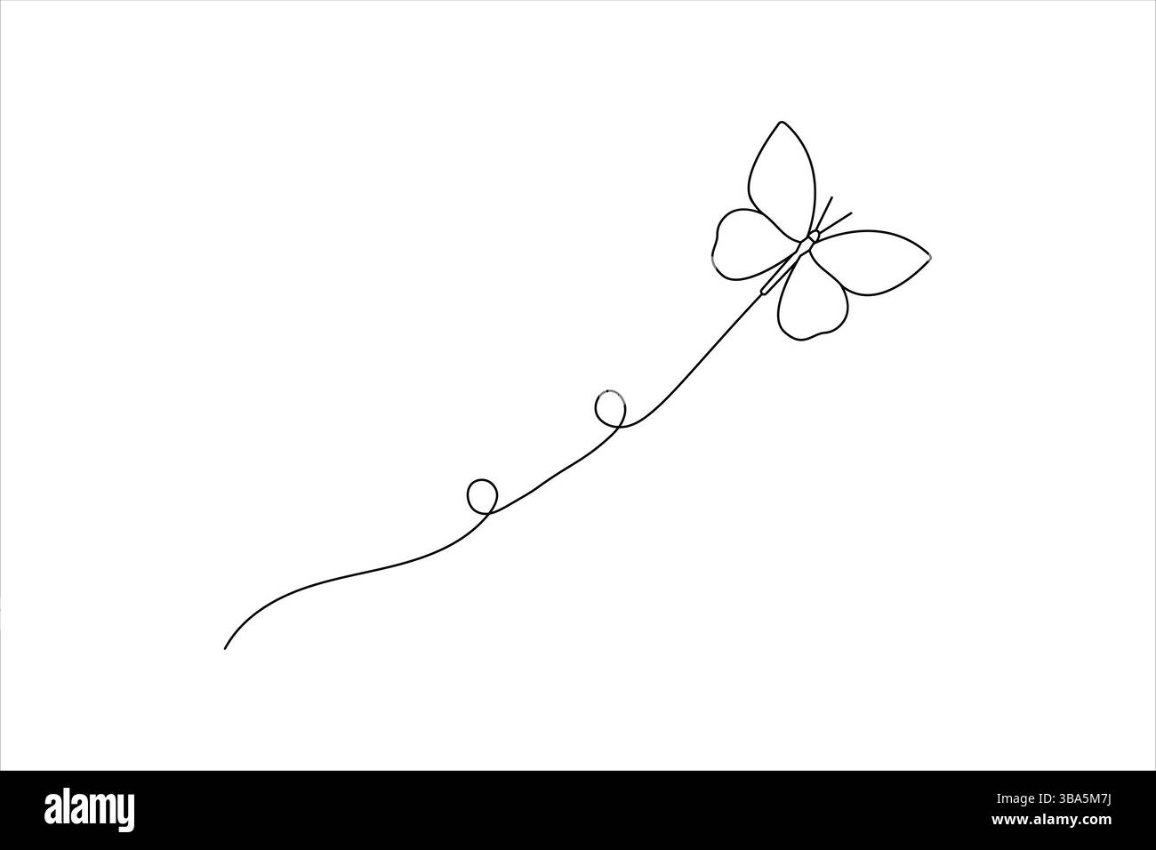 Butterfly line drawing Black and White Stock Photos & Images - Alamy