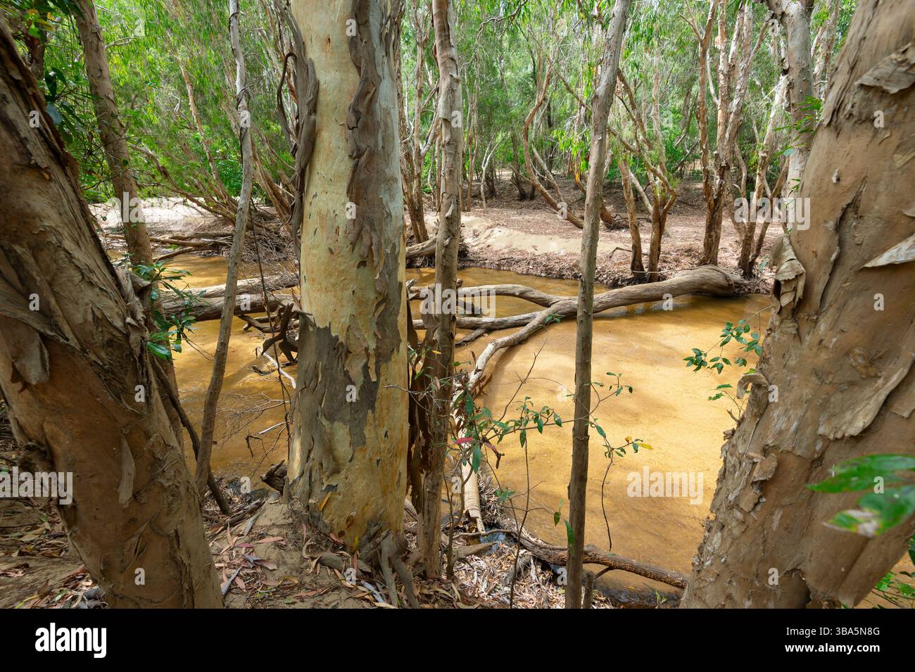 Laura River with muddy waters running through Lakefield National Park ...
