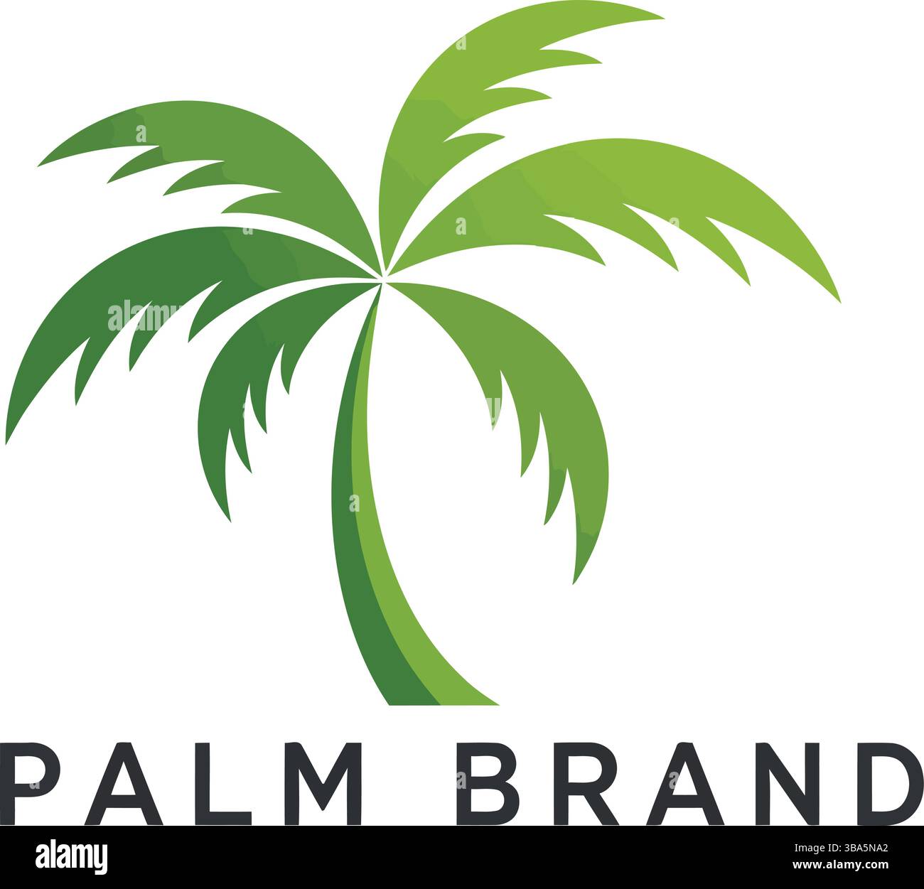 Palm tree for branding Stock Vector Images - Alamy
