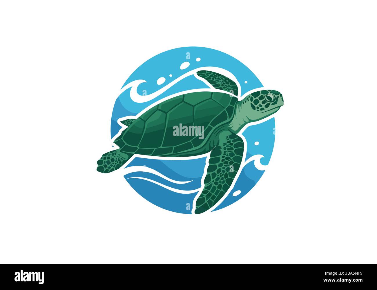 Green Sea Turtle Swimming with Oceanic Wave Pattern Stock Vector Image ...
