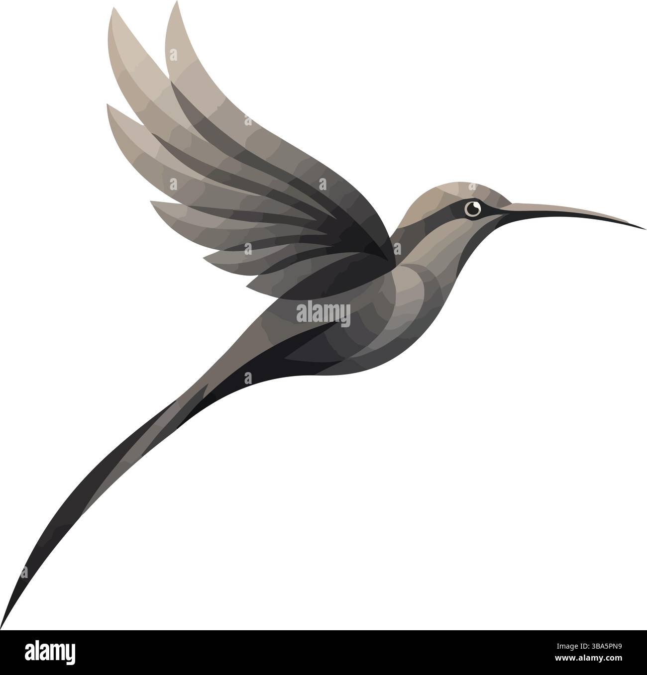 Hummingbird logo vector hi-res stock photography and images - Alamy