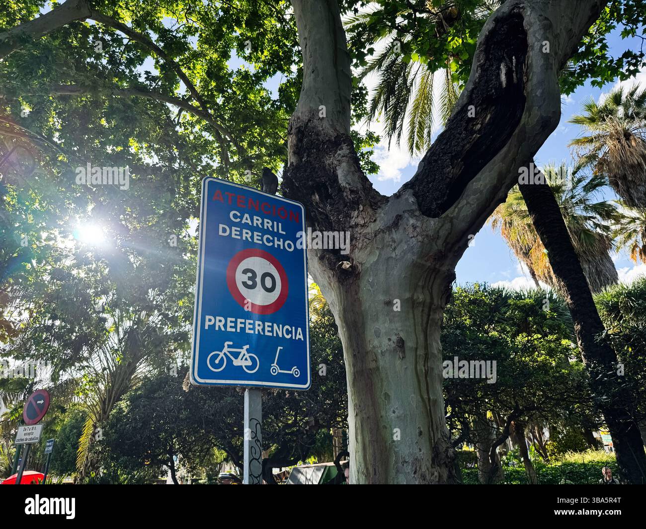 Malaga, Spain - May 02, 2025: Traffic sign indicating bike lane preference in Malaga, Spain ...