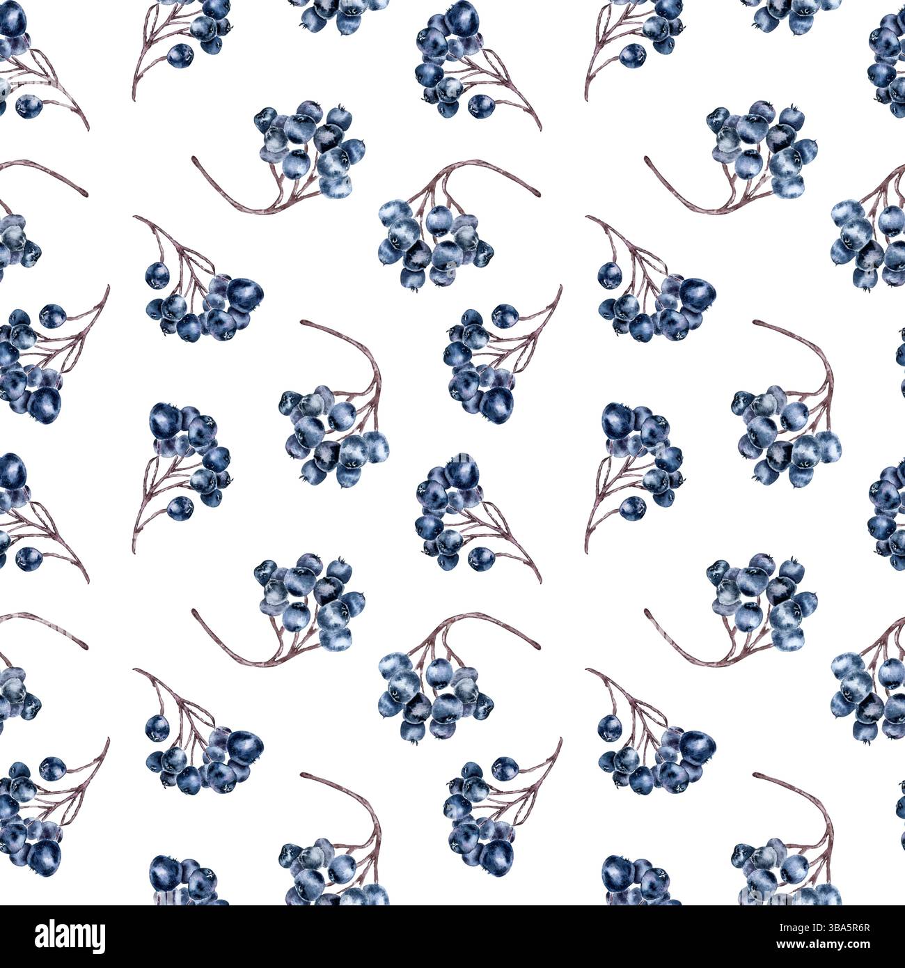 Chokeberry seamless pattern in watercolor with deep purple berries ...