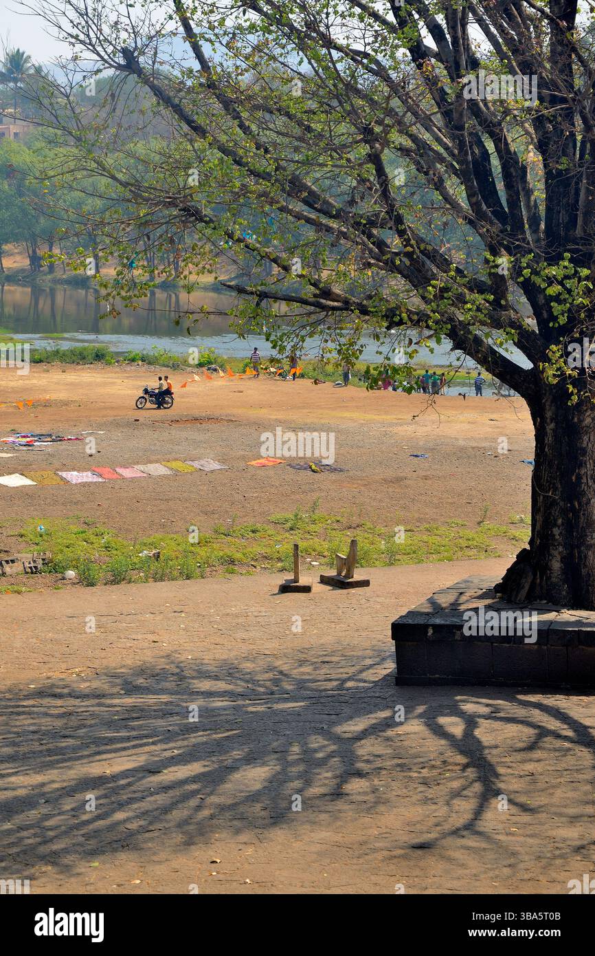 Old tree and small temples near Dakshin Kashi Shiv temple, Mahuli ...