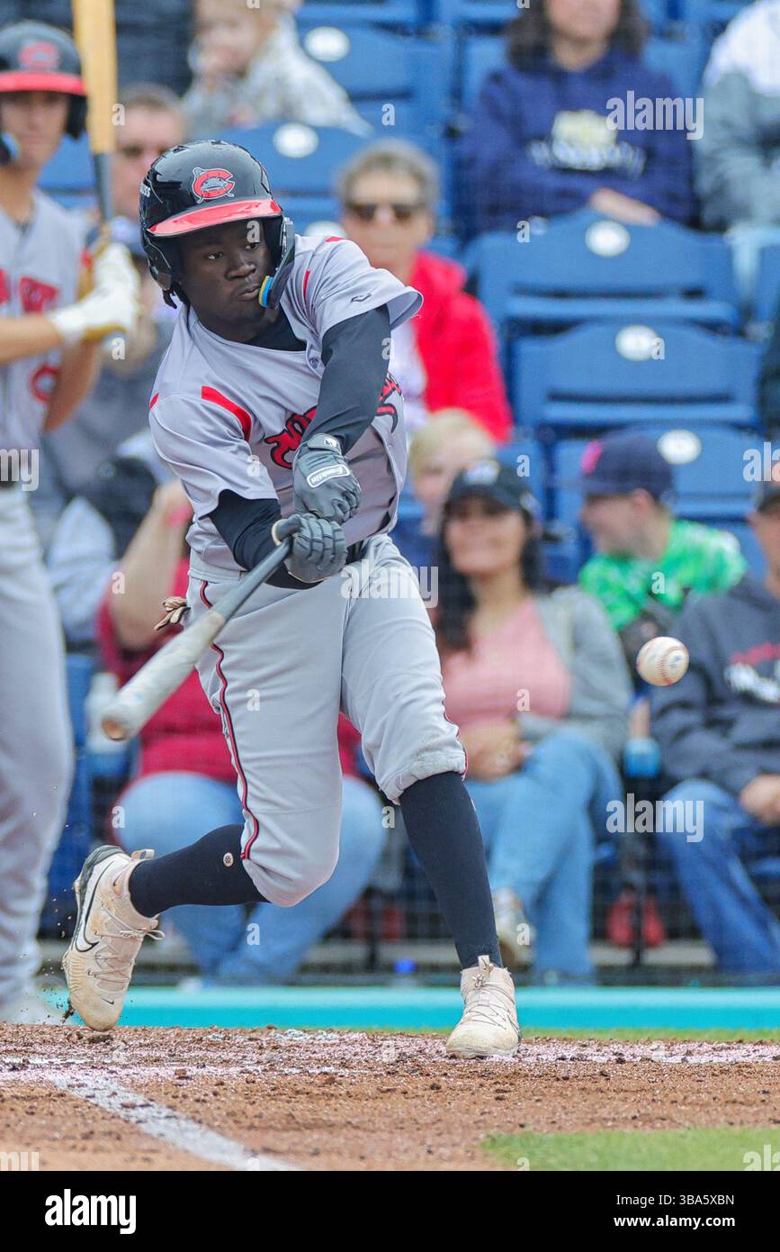 Kannapolis, NC: Carolina Mudcats left field Demetrio Nadal (6) swings ...