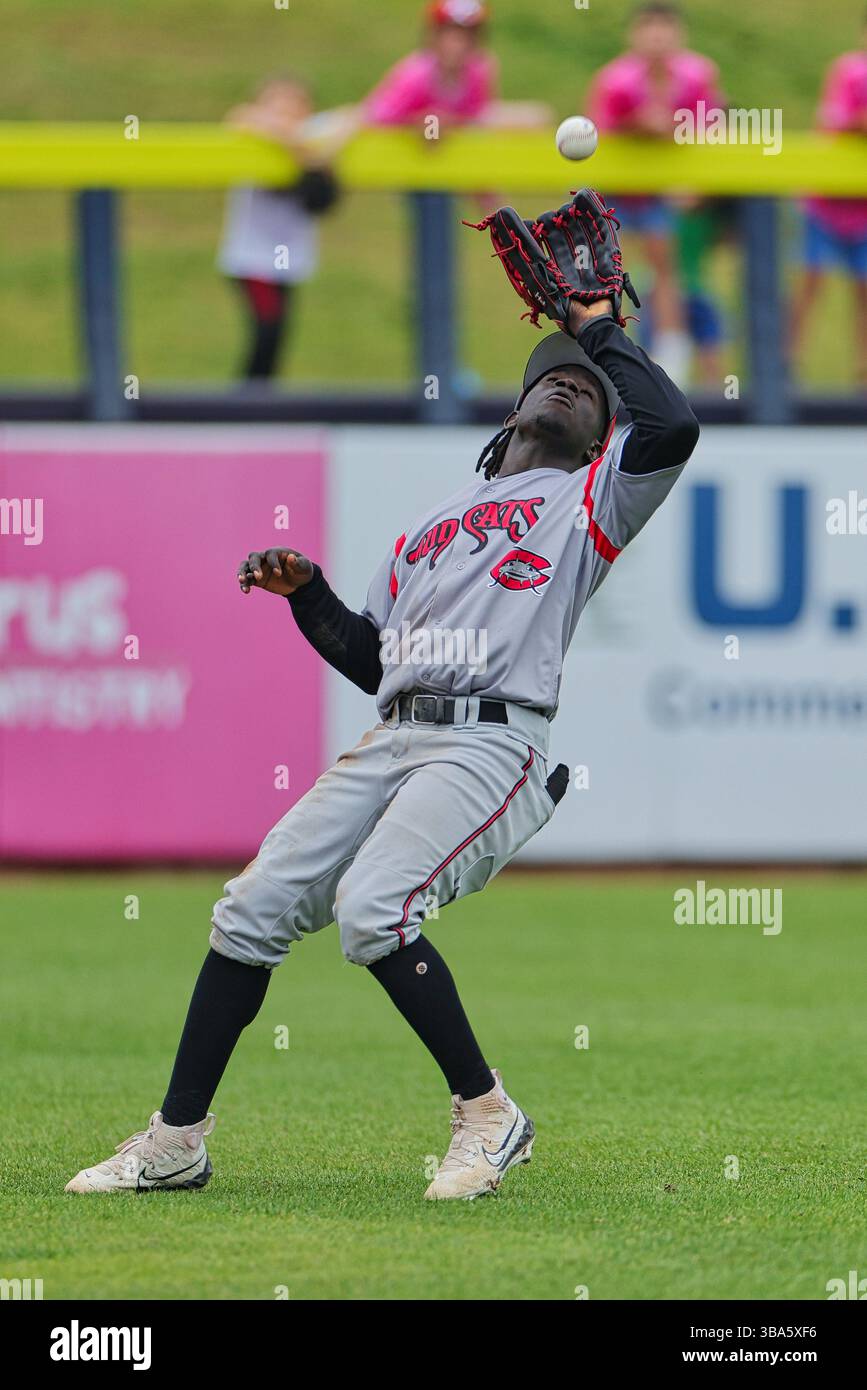 Kannapolis, NC: Carolina Mudcats left field Demetrio Nadal (6) catches ...
