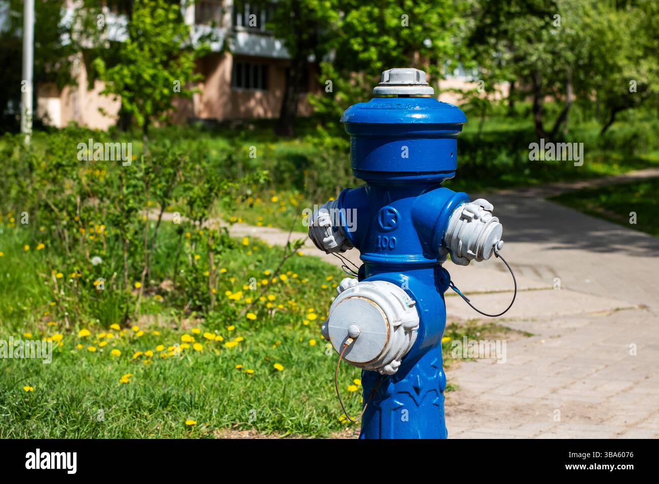 A bright blue fire hydrant is sitting prominently on the side of a busy ...