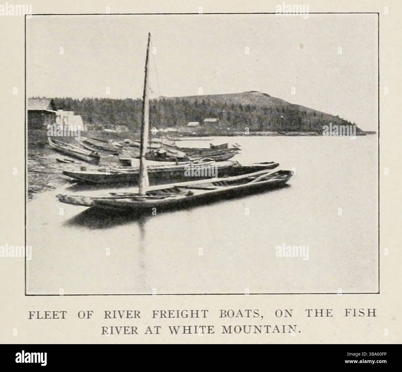 Fleet of river freight boats on the Fish River at White Mountain from ...