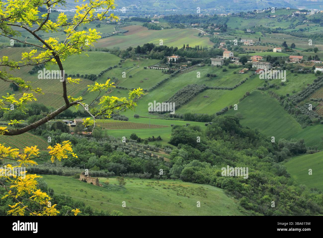 Marchecountryside hi-res stock photography and images - Alamy