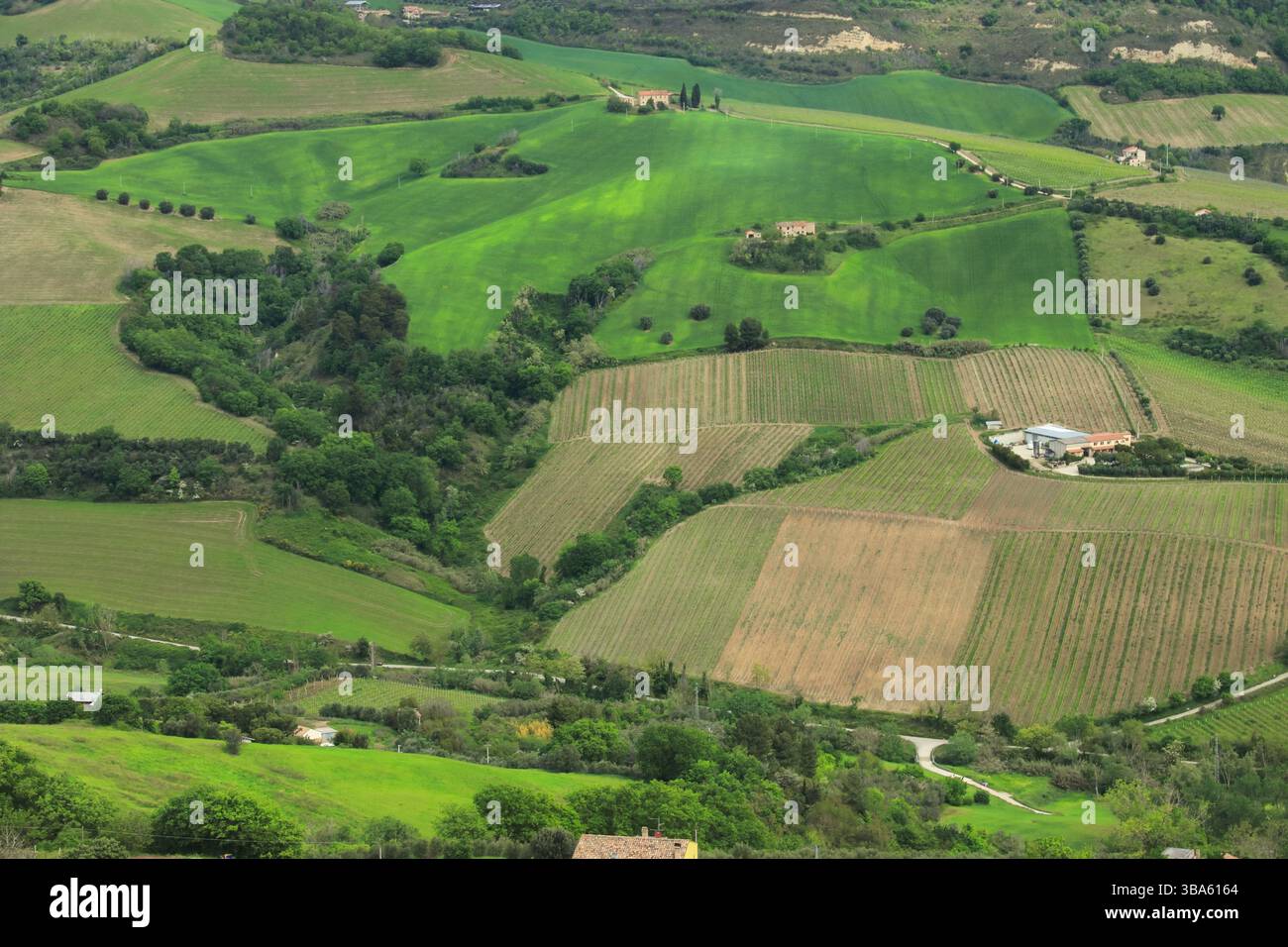 Wheat field marche italy hi-res stock photography and images - Alamy