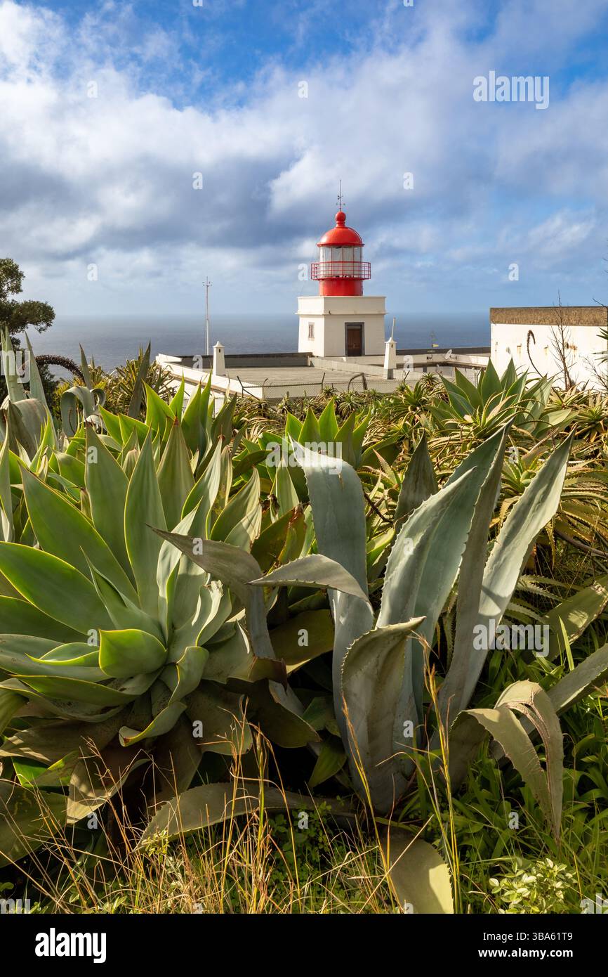 Lighthouse ponto pargo island hi-res stock photography and images - Alamy