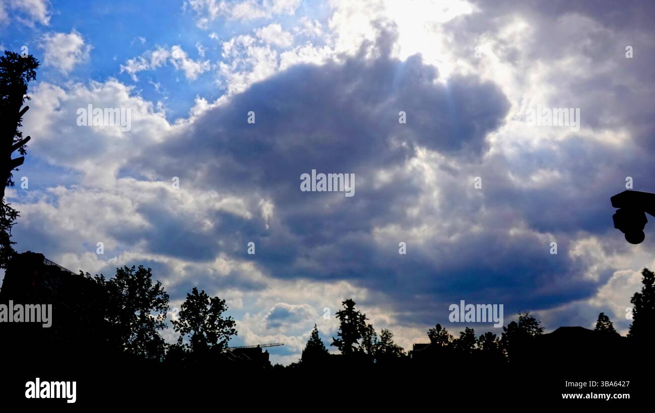 Early summer scenery at Shanghai Botanical Garden, Shanghai, China, 9 ...