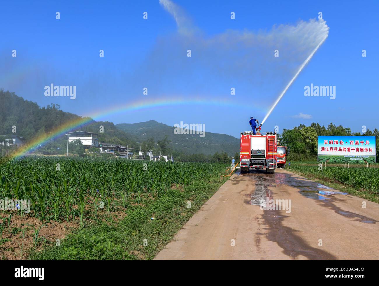 BAZHONG, CHINA - MAY 11, 2025 - Farmers water corn to resist drought in ...