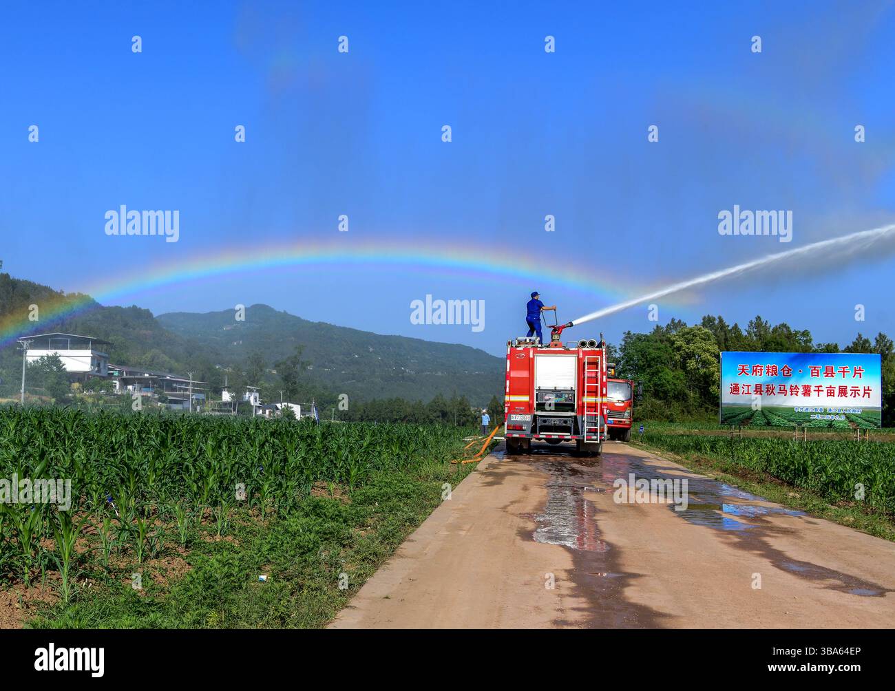 BAZHONG, CHINA - MAY 11, 2025 - Farmers water corn to resist drought in ...