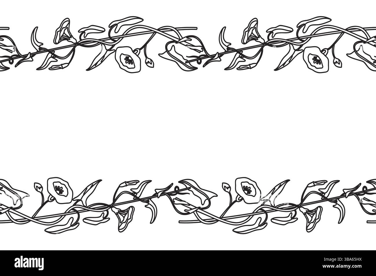 Line art botanical floral horizontal seamless border isolated on white ...