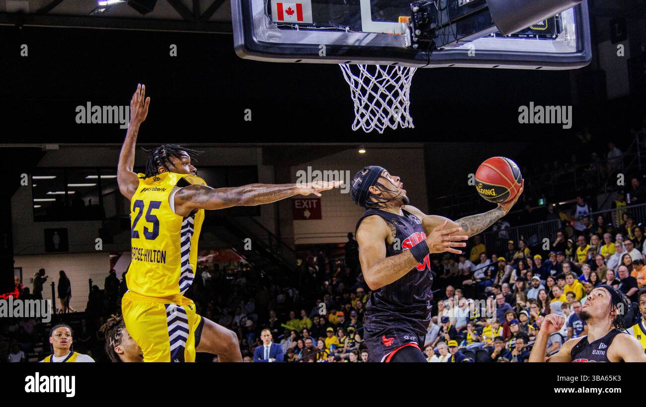 Sean miller moore hi-res stock photography and images - Alamy