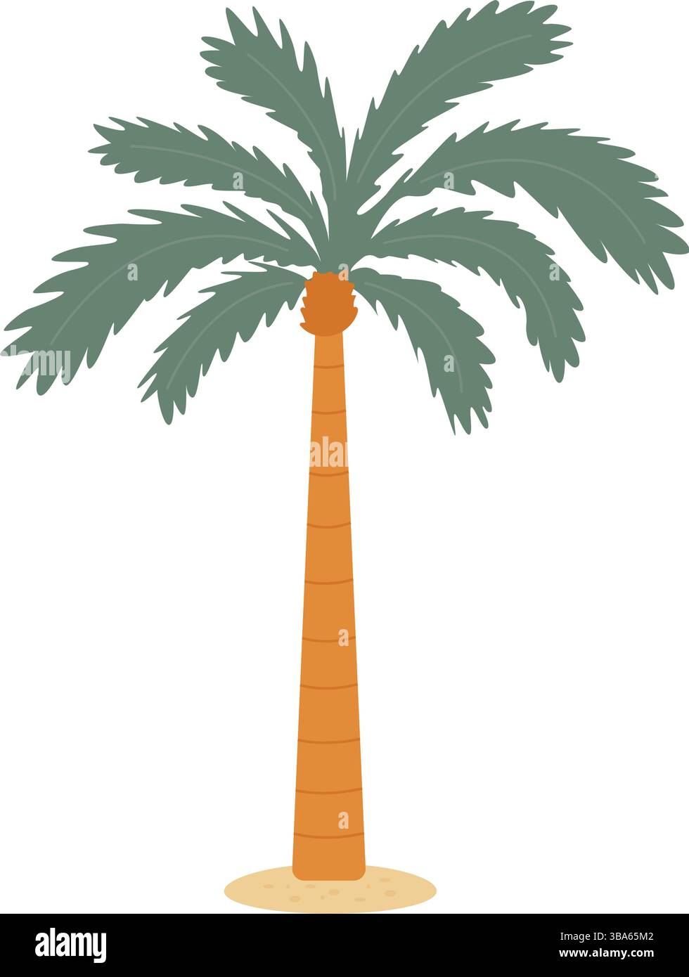 Palm tree simple flat design element isolated on transparent background ...