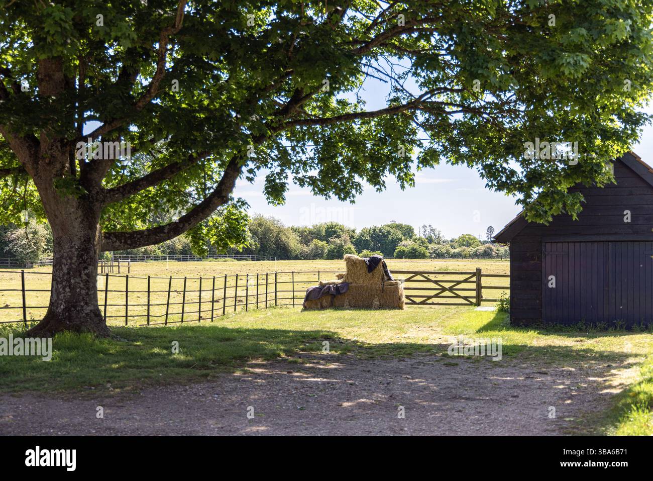 Englefield house benyon hi-res stock photography and images - Alamy