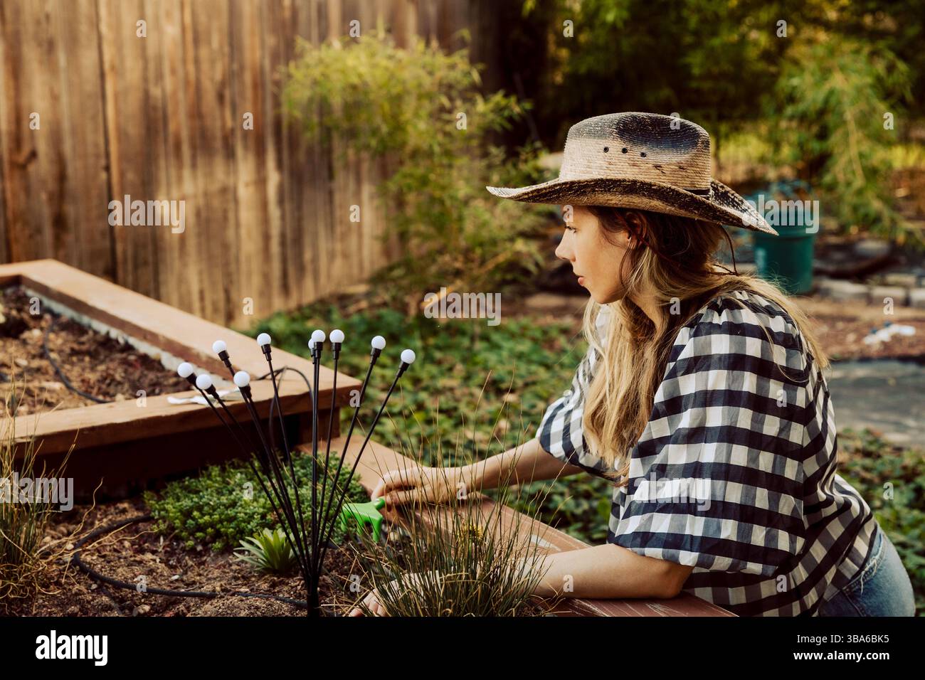 Side profile of woman gardening in backyard bed Stock Photo - Alamy