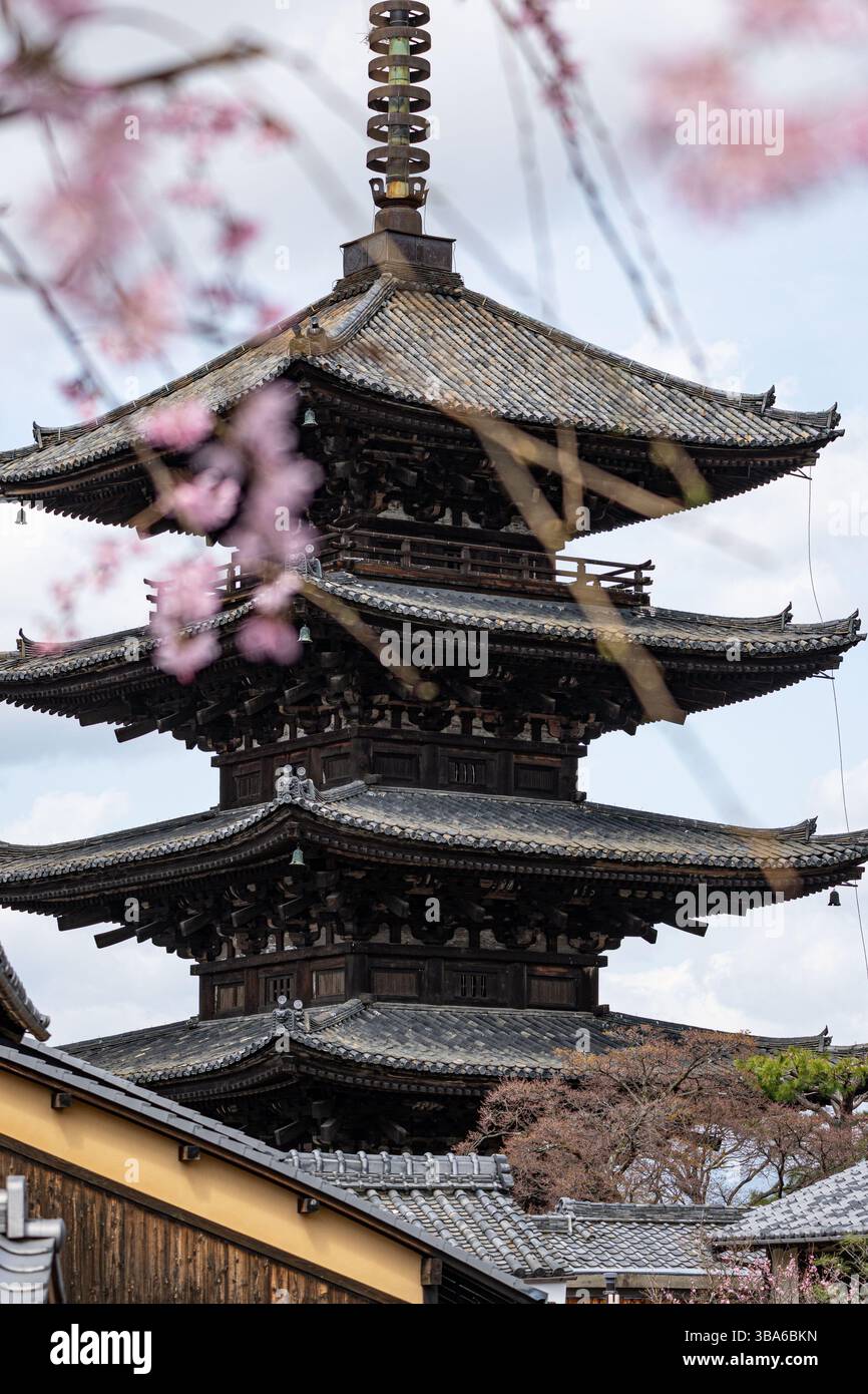 Iconic cherry trees hi-res stock photography and images - Alamy