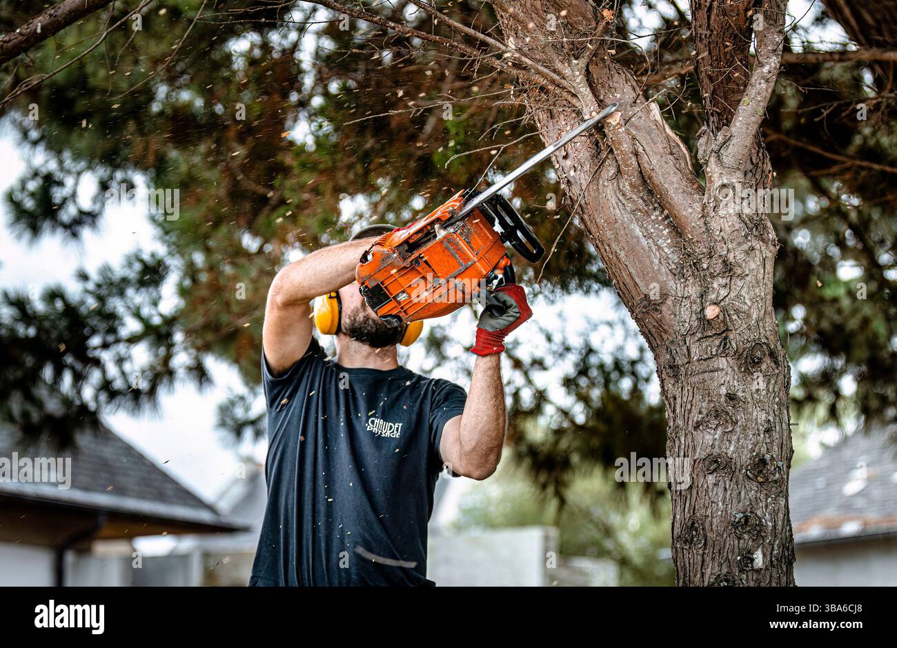 Landscaping and gardening profession, parks and gardens maintenance ...