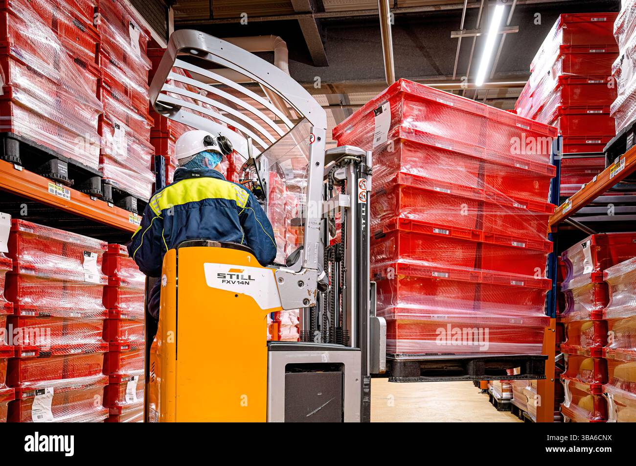 Order packer on a pallet truck in a warehouse, gathering and packaging ...