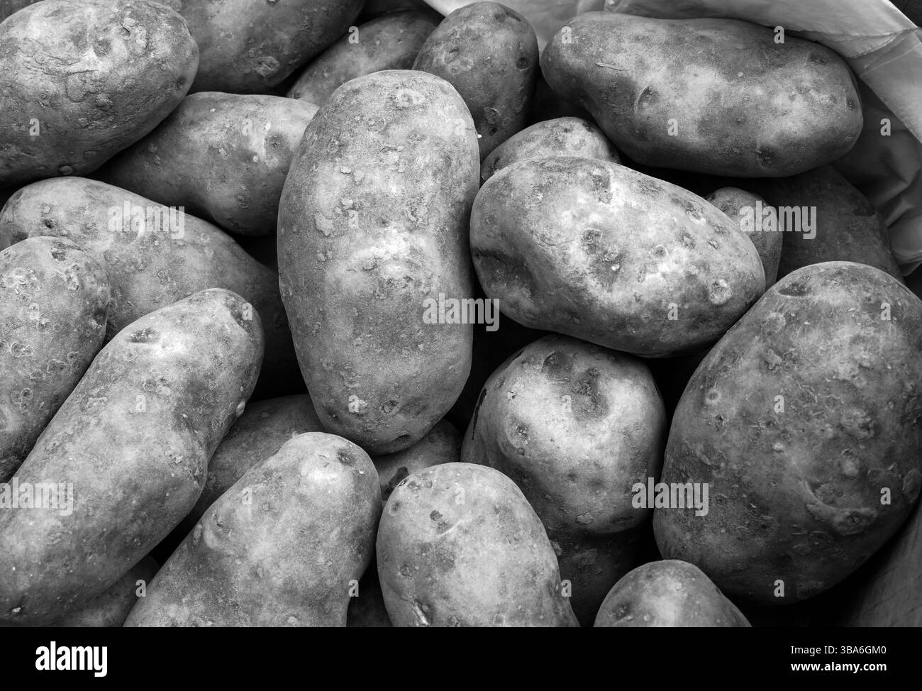 Versatile image Black and White Stock Photos & Images - Alamy