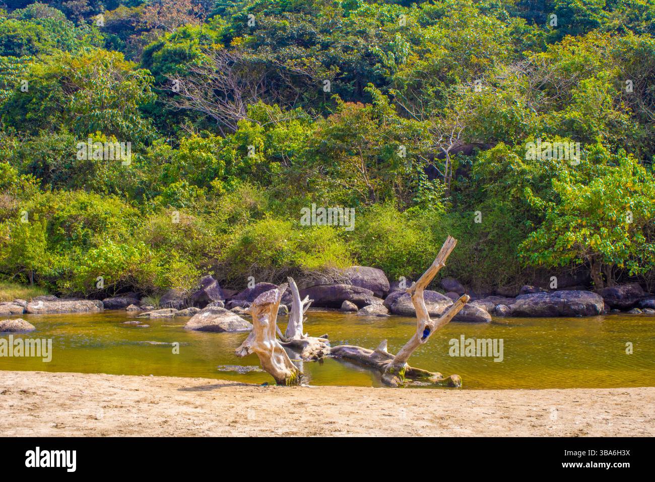 Lagoon on a beach in Agonda, Goa, India Stock Photo - Alamy