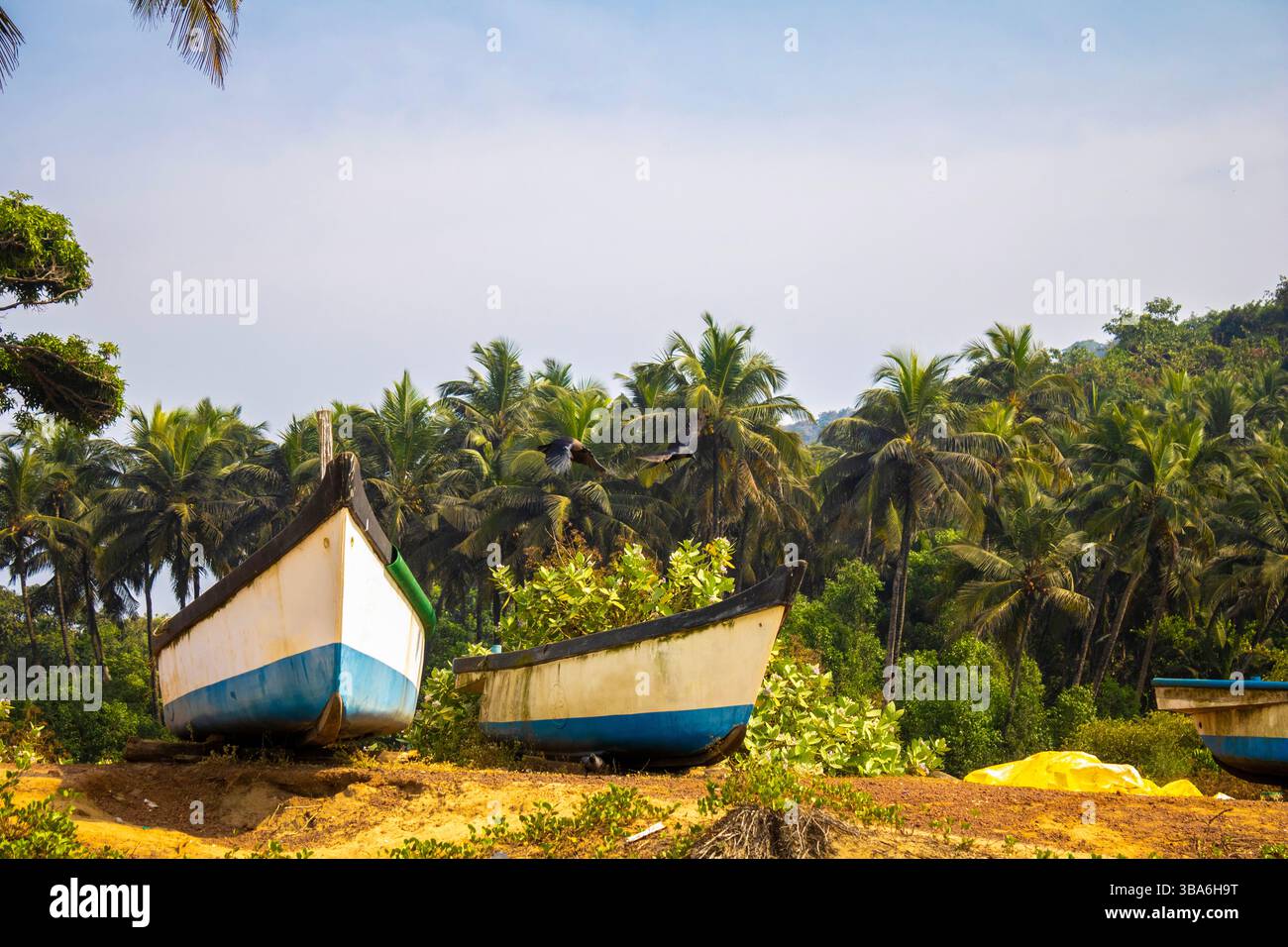 Beach of Agonda in Goa, India Stock Photo - Alamy