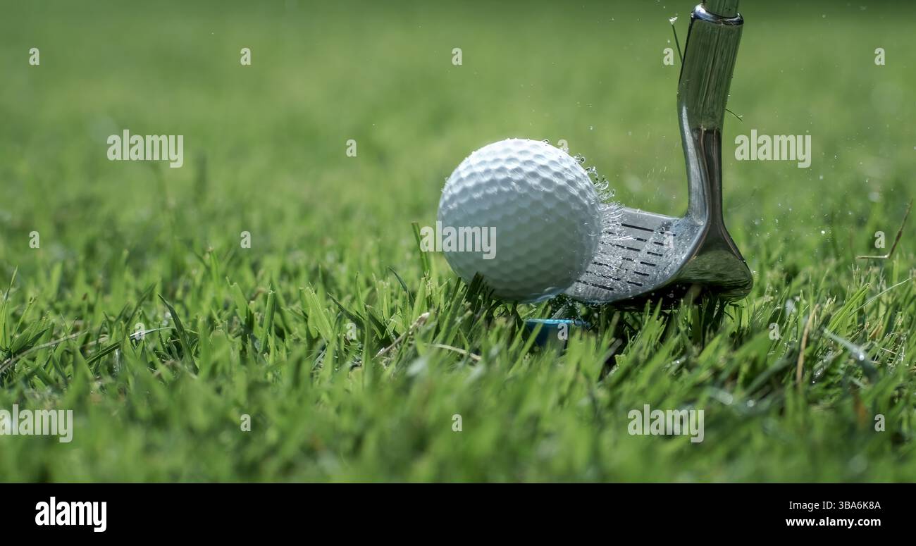 Golf club hits a golf ball. Drops of morning dew and grass particles ...
