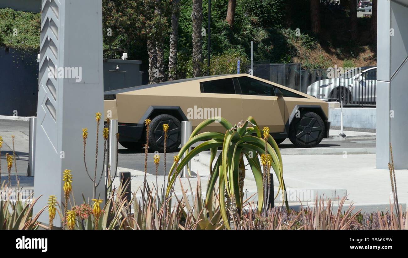 Los Angeles, California, USA 11th May 2025 Tesla Beige Cybertruck on ...