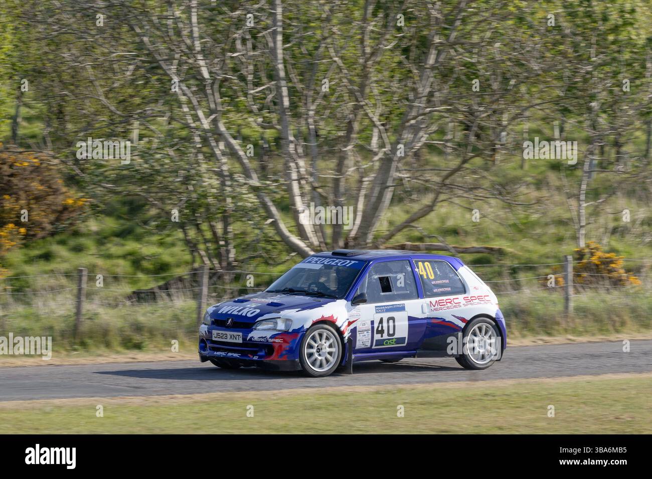 Peugeot Rally car going fast on a Rally stage Stock Photo - Alamy