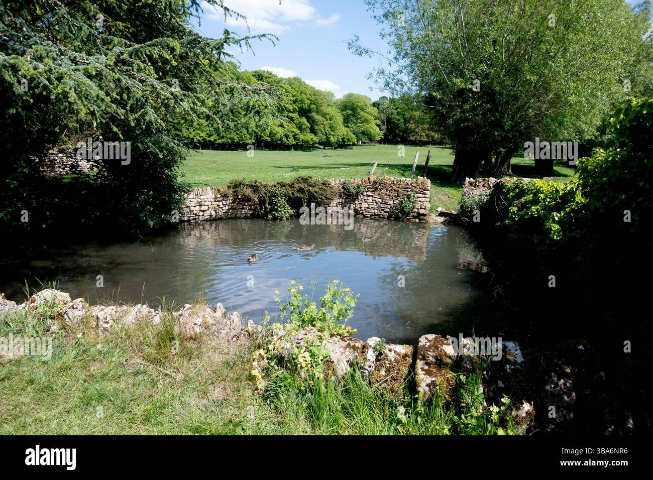 Hidcote Bartrim village pond, Gloucestershire, England, UK Stock Photo ...