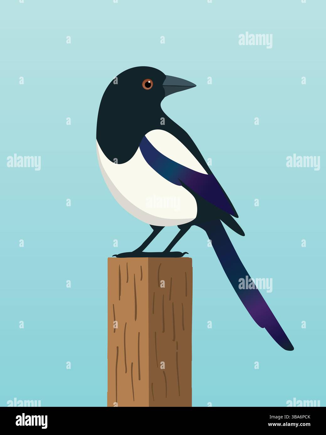 A stylized magpie with black, white, and iridescent feathers perches on ...