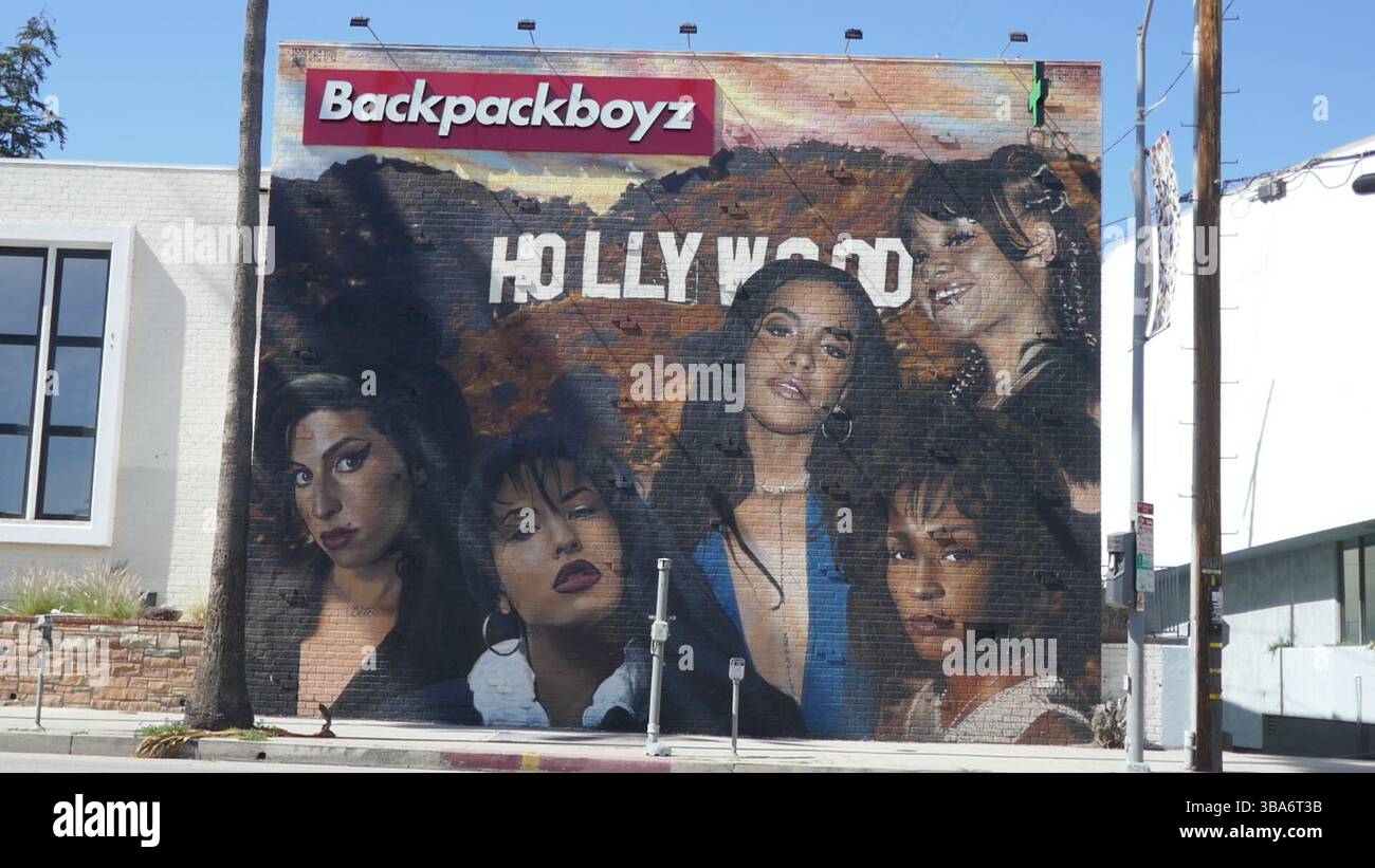 Los Angeles, California, USA 11th May 2025 Street Art Mural of Amy ...