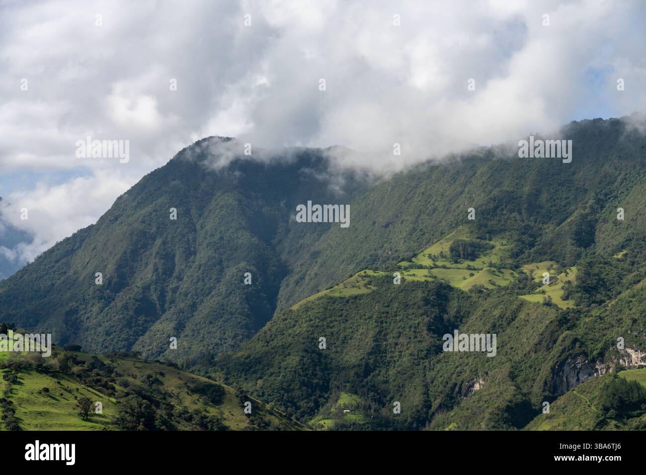 Scenery along the Nono-Mindo Road through the Western Cordillera of the ...