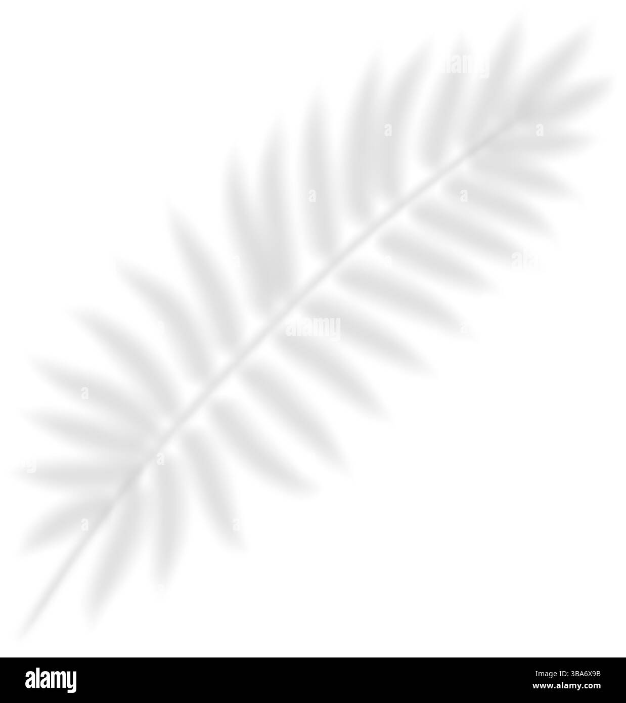 Background shadow from palm Black and White Stock Photos & Images - Alamy