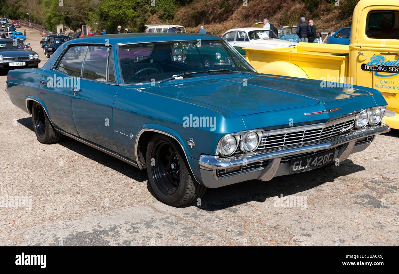 Three-quarter front view of a Blue, 1965, Chevrolet Impala, on display ...