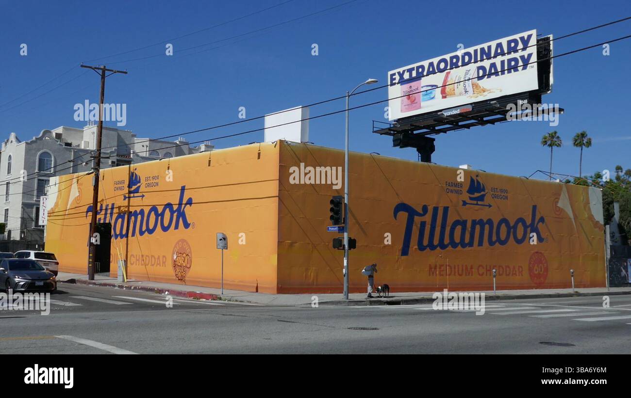 Los Angeles, California, USA 11th May 2025 Tillamook Cheddar Cheese ...