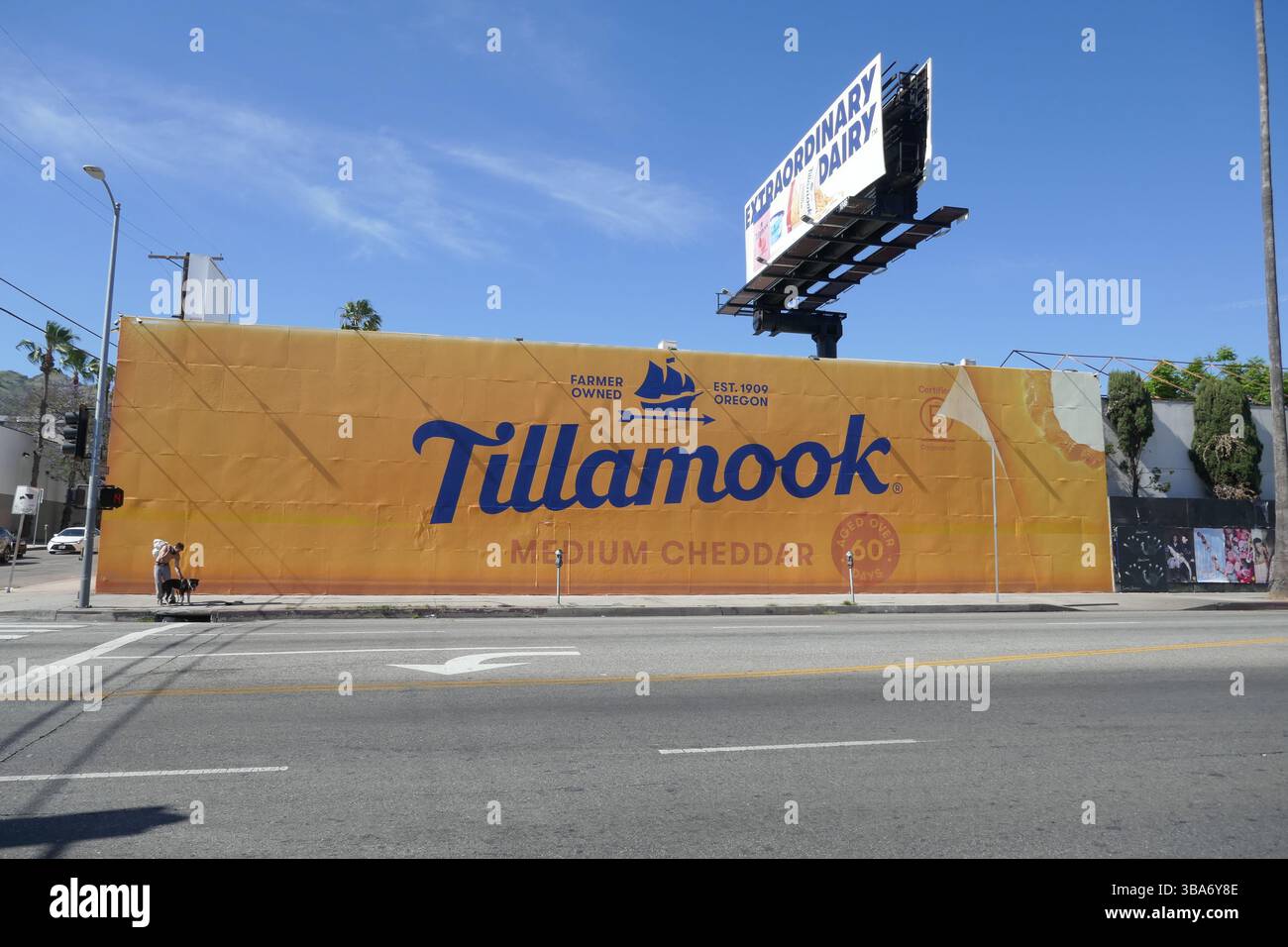Los Angeles, California, USA 11th May 2025 Tillamook Cheddar Cheese ...