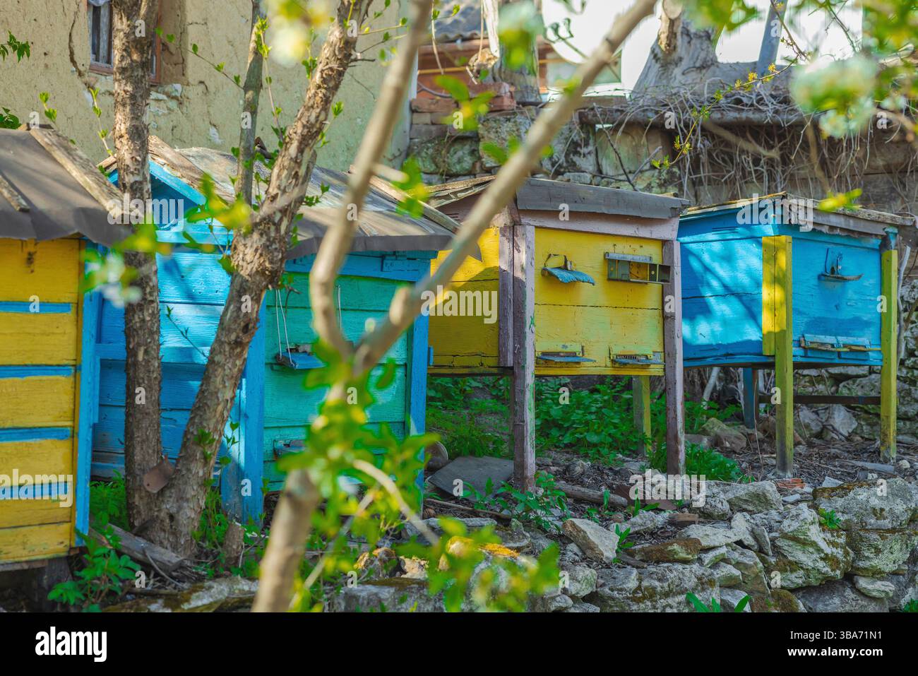 Beehives with bees flying out, set in a natural environment. Highlights ...