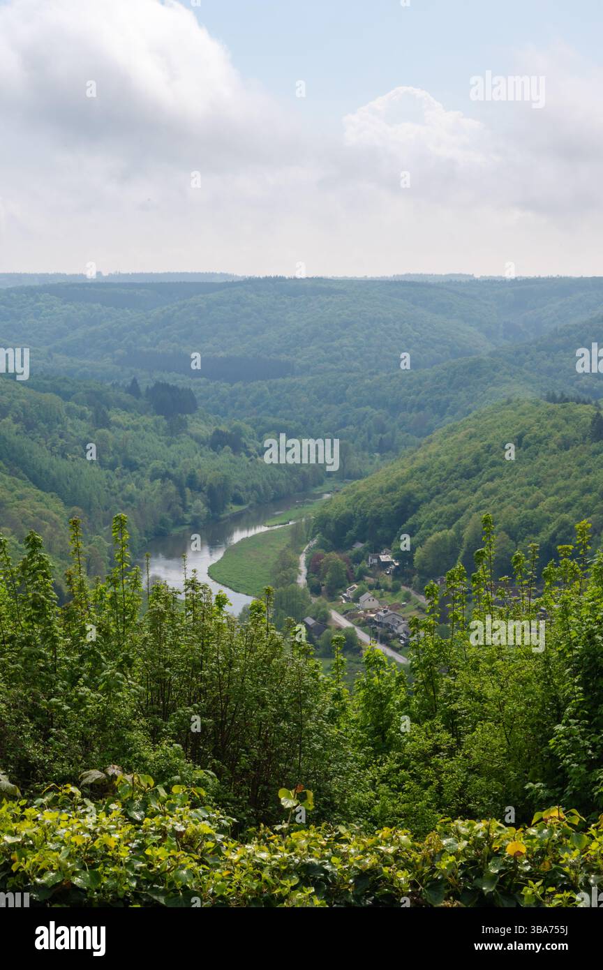 A beautiful river flows gently through a valley encircled by lush trees ...