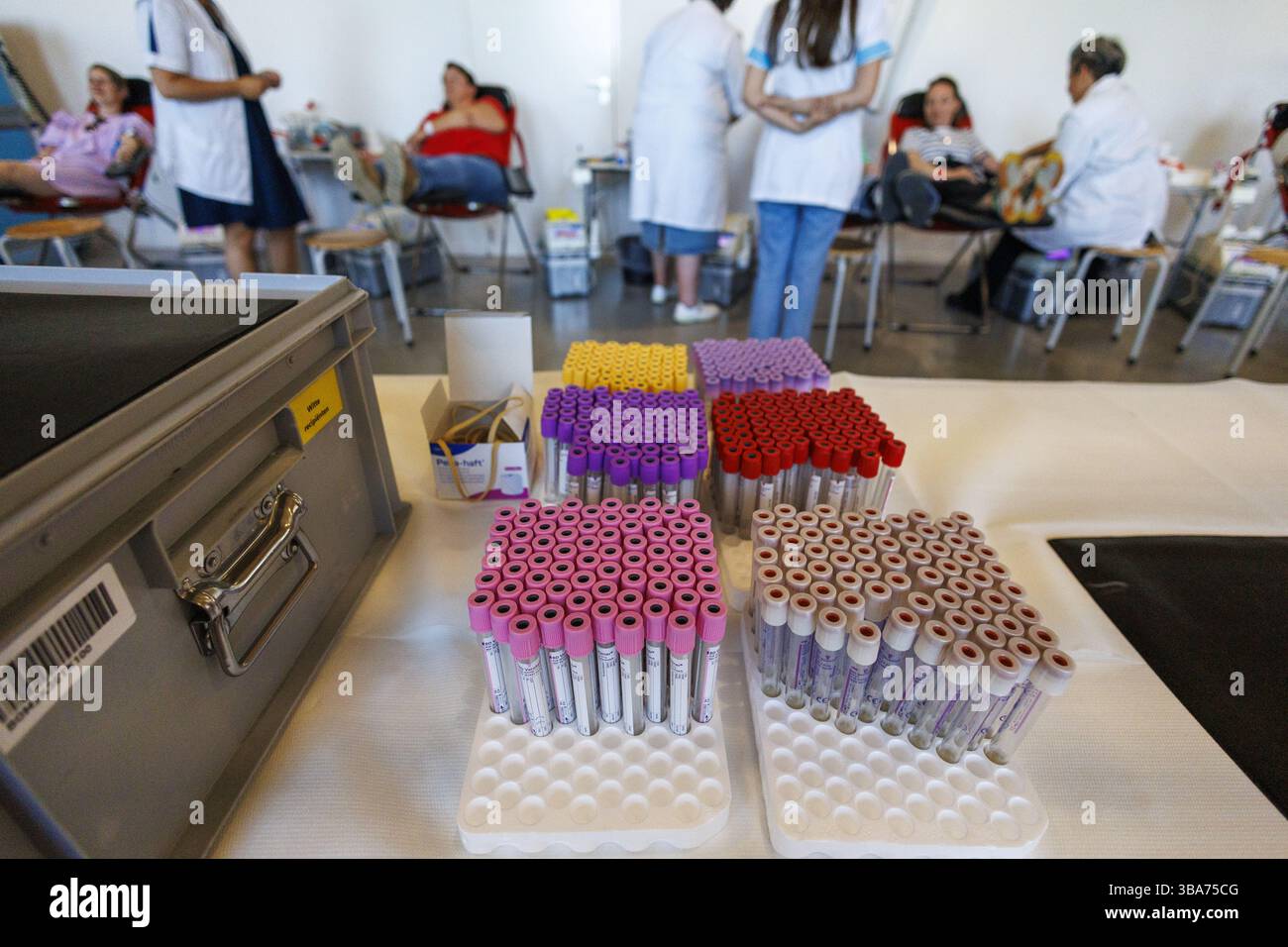 Brugge, Belgium. 12th May, 2025. Blood collection tubes pictured during ...