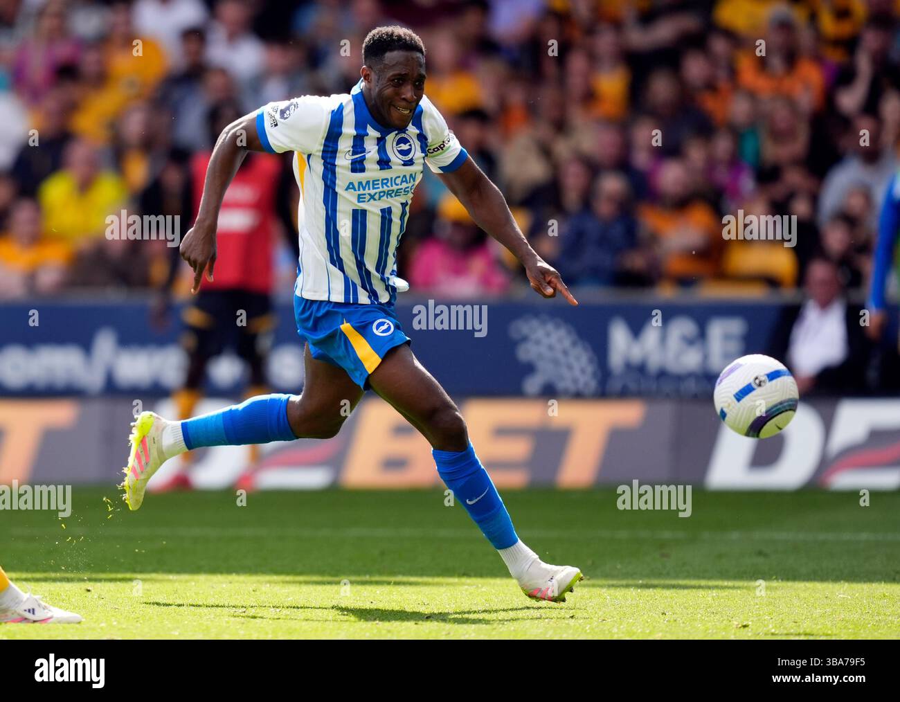 Brighton and Hove Albion's Danny Welbeck during the Premier League ...