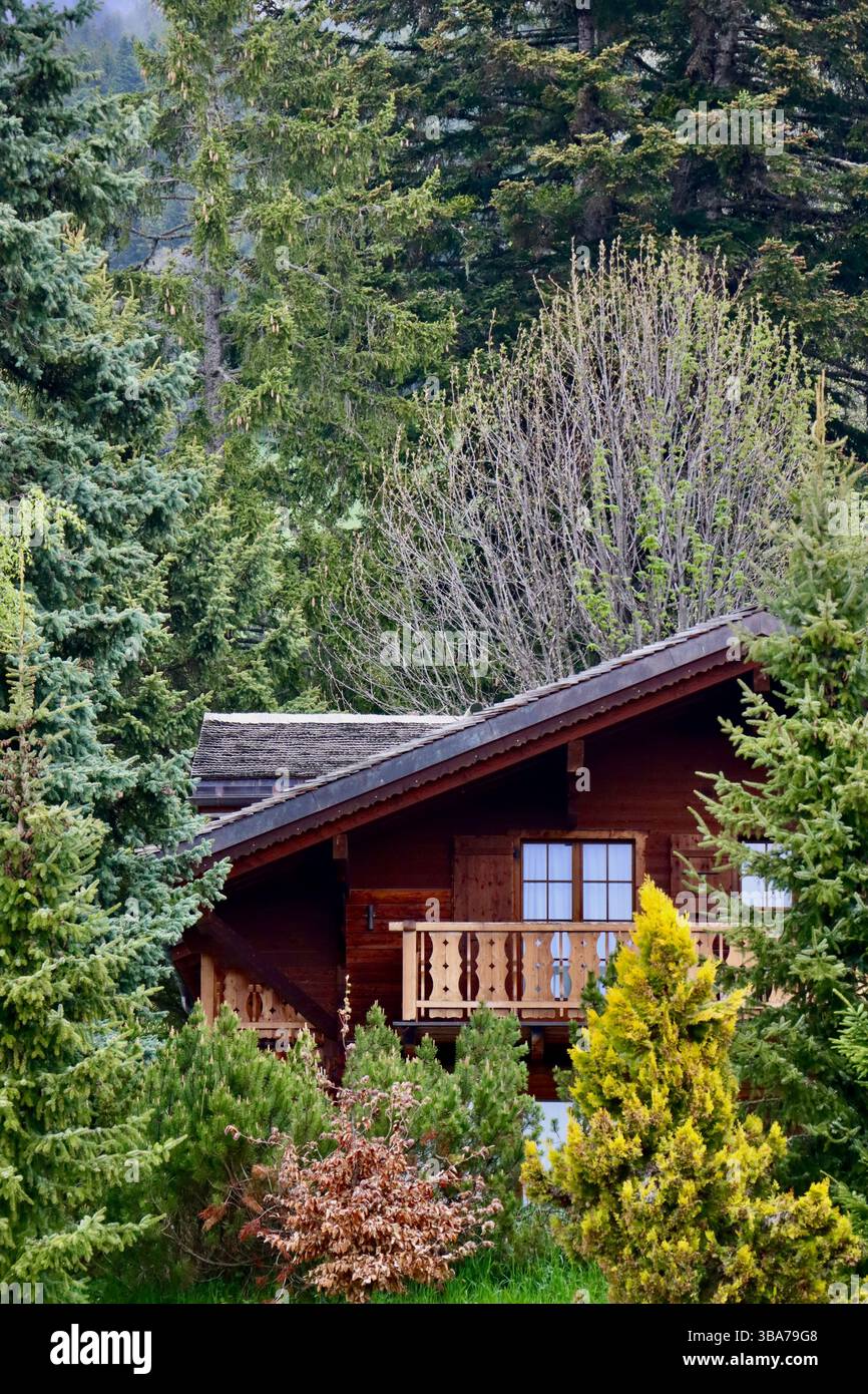Chalet hidden dense forest hi-res stock photography and images - Alamy