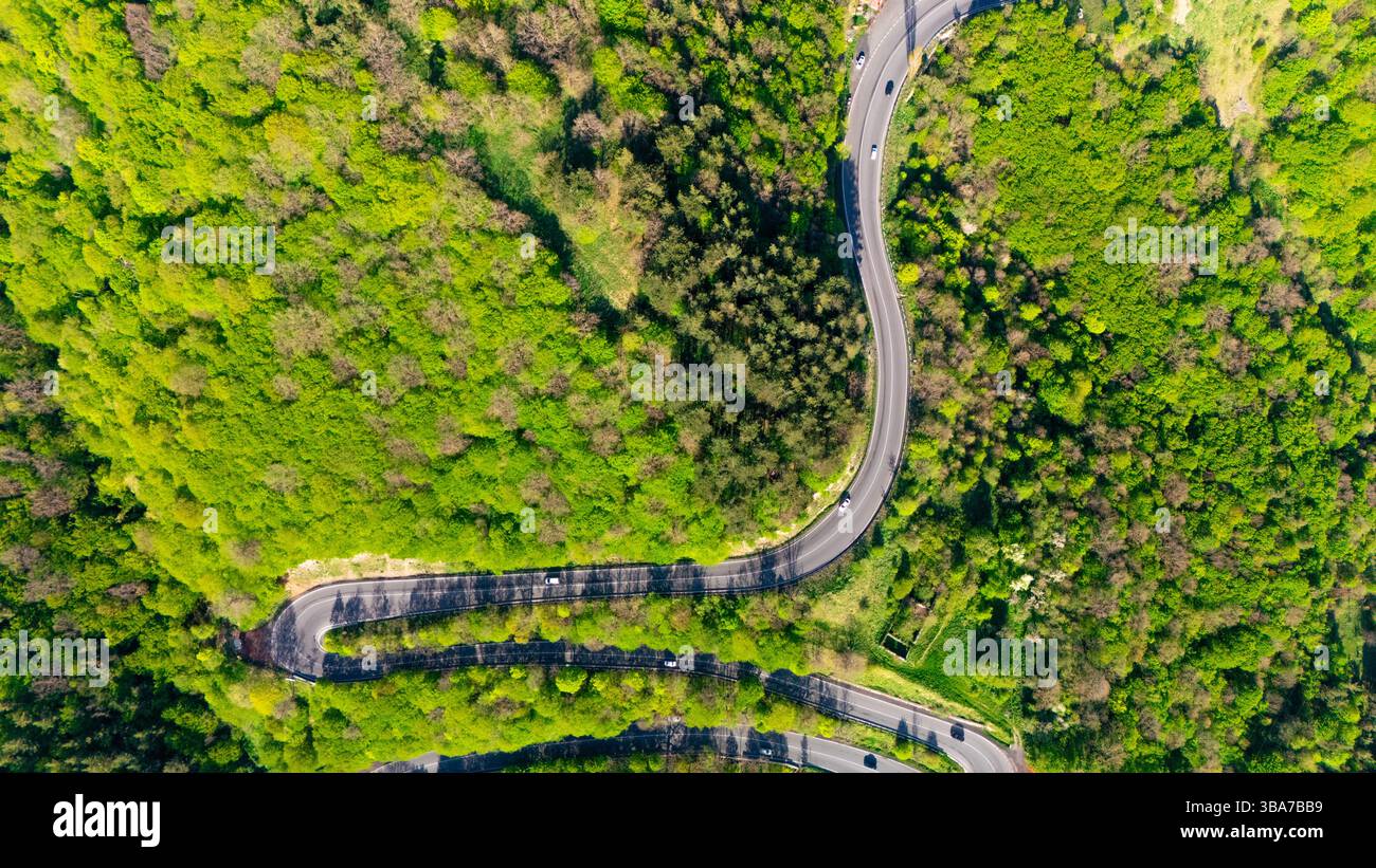 Aerial drone view of vehicles, navigating a winding forest road Stock ...