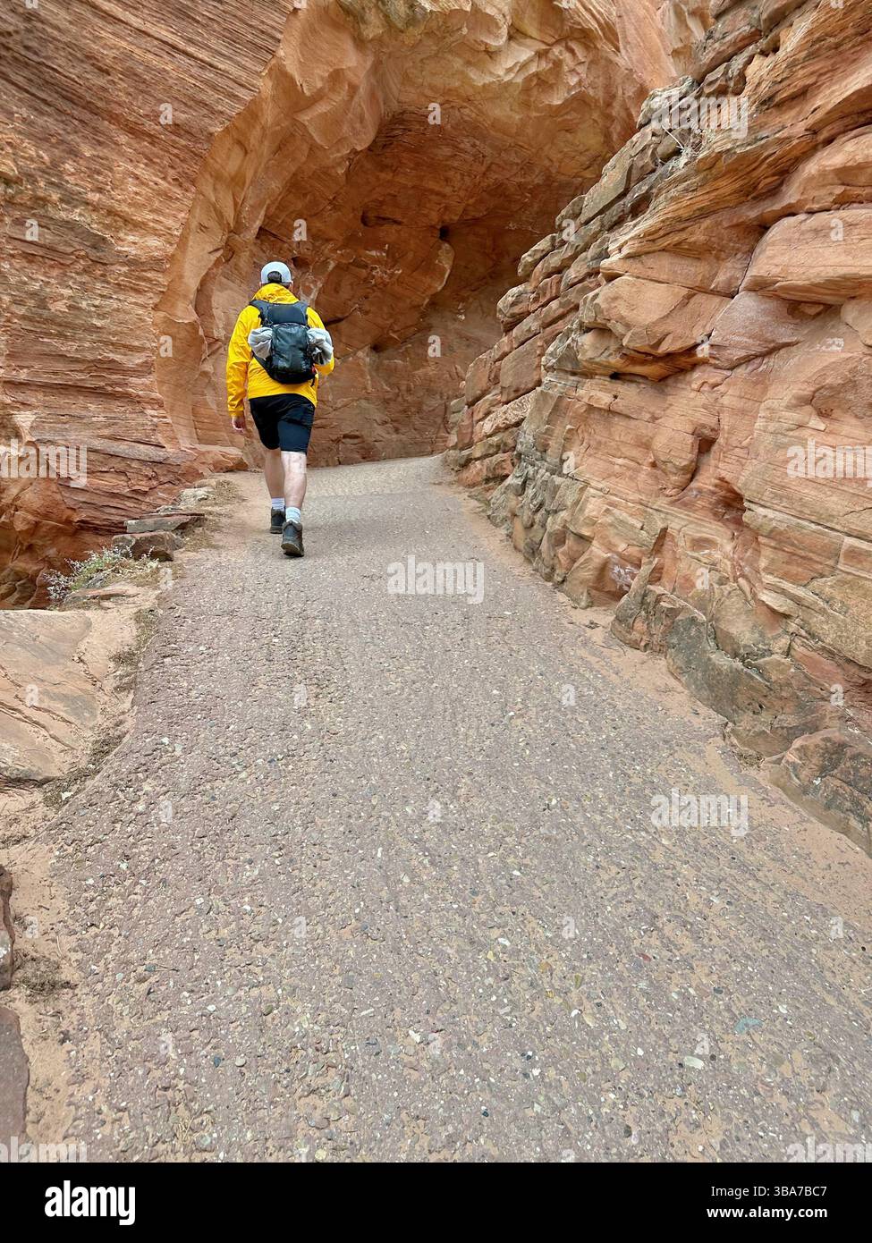 Rear view of a man Hiking along the switchbacks of Angel's Landing ...