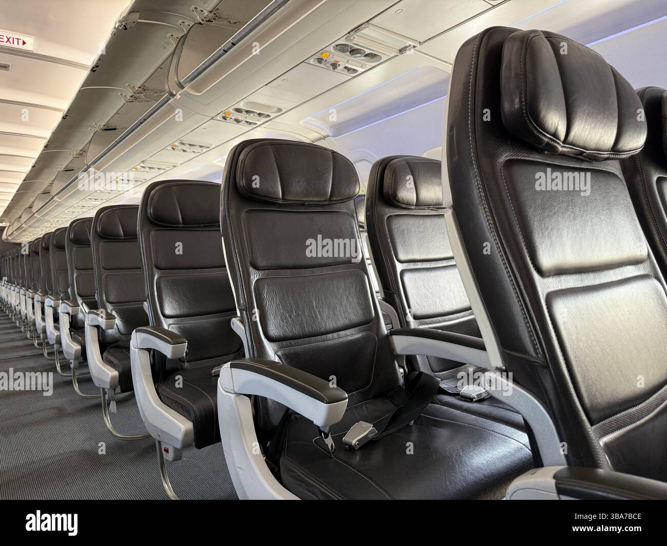 Rows of empty aircraft seats on an aeroplane Stock Photo - Alamy