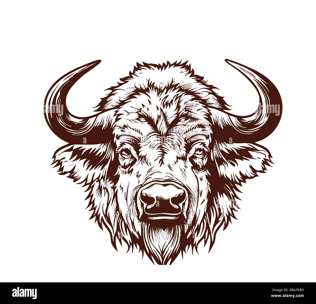 head of buffalo. Face of bison,bull. Graphic sketch hand drawn vector ...